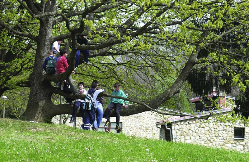 Nazor - Grad mladih, Zagreb